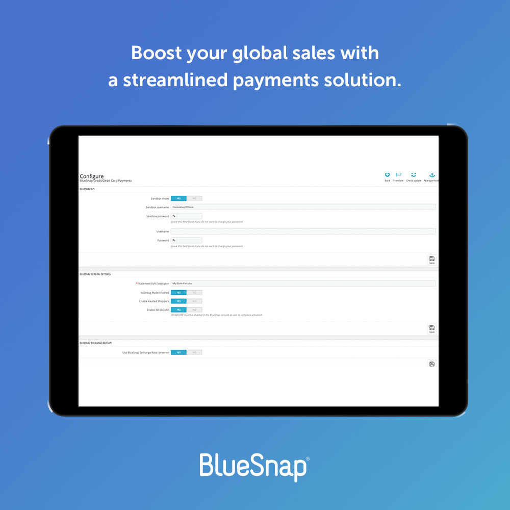 BlueSnap All-in-one Global Payment